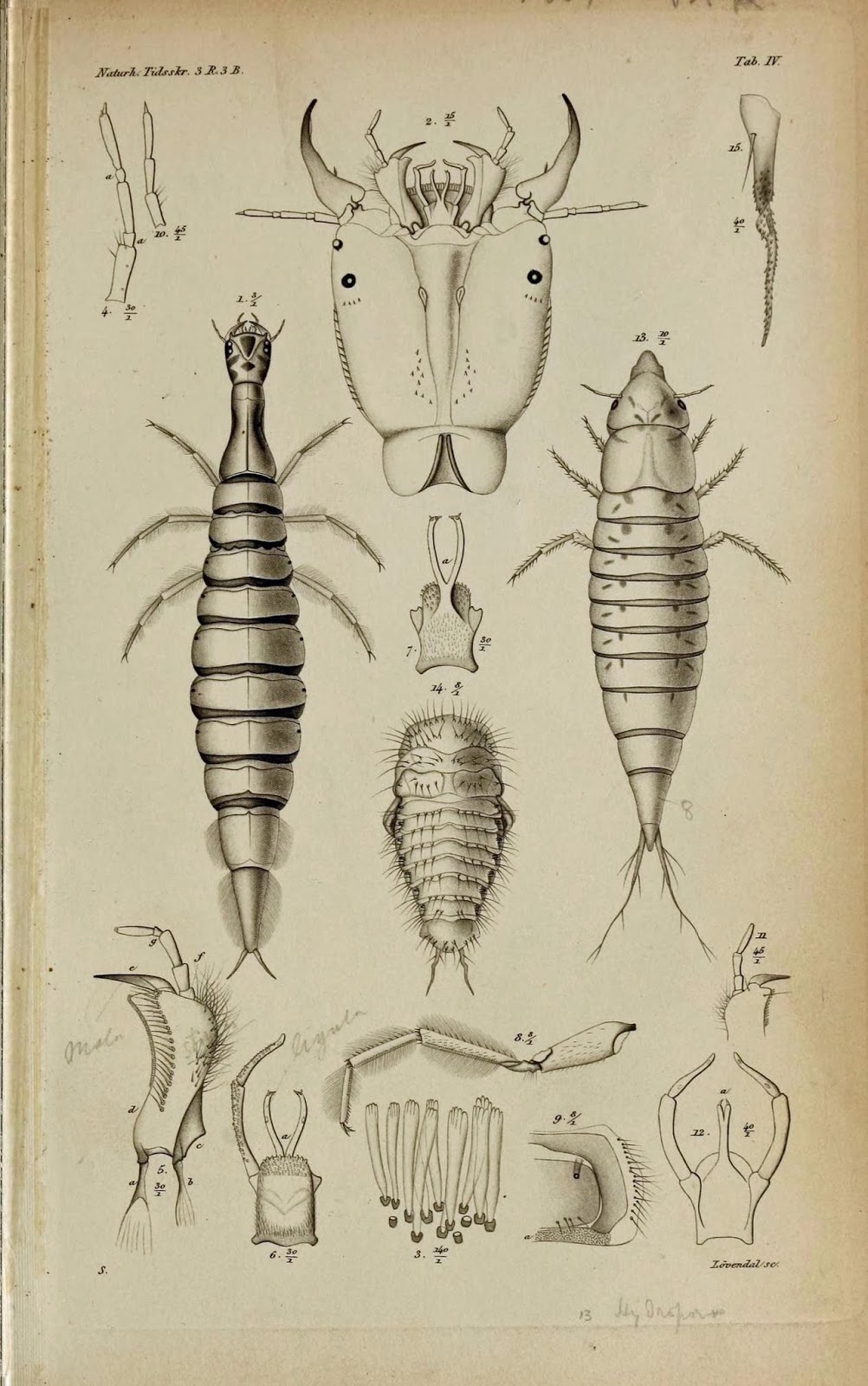 Ponds, time and place. A Druridge Bay Northumberland blog: November 2013