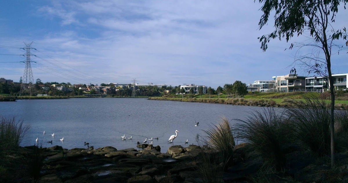 Cafe Boutique - Review - Edgewater