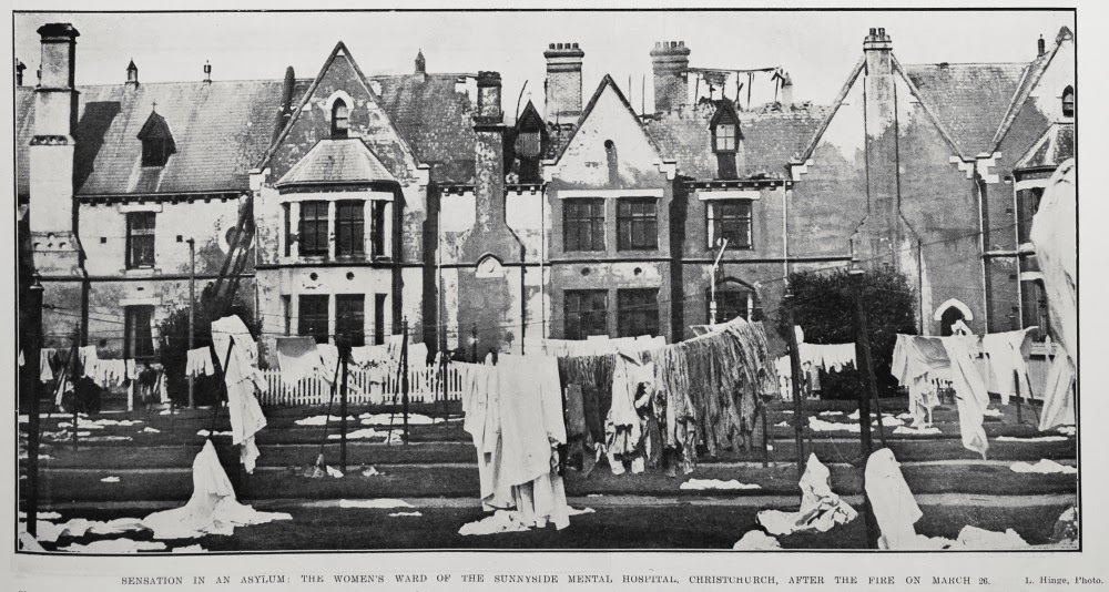 Reasons for Insane Asylum admissions in the Victorian era