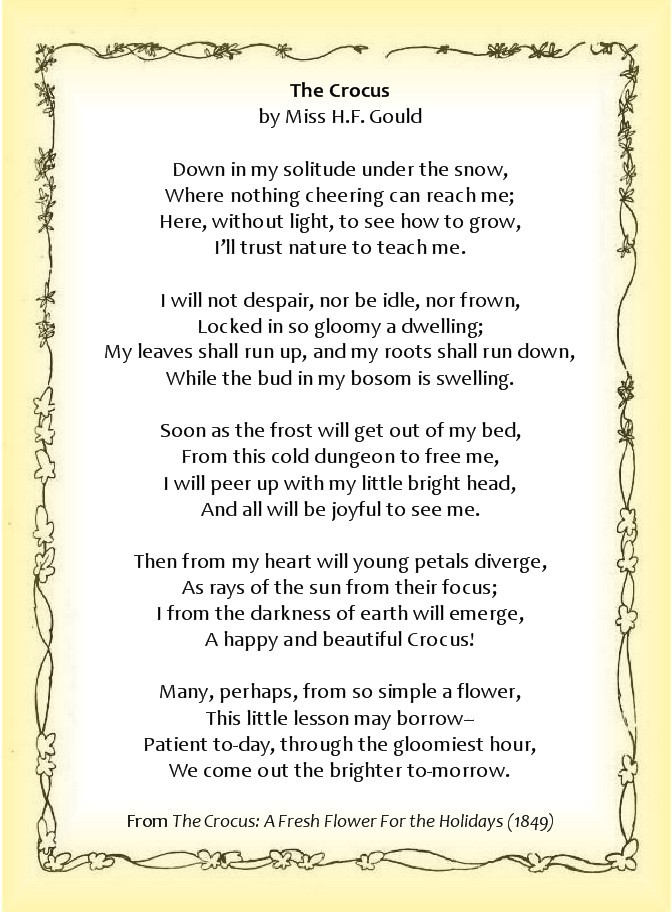 ThePaperSunflower: February Flower--The Crocus