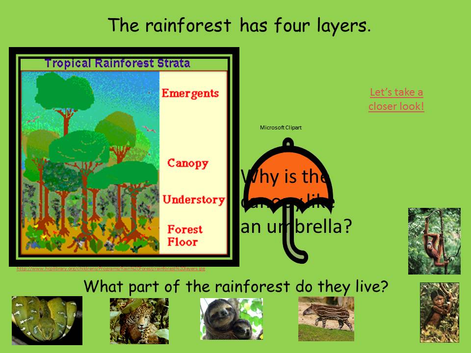 Teaching and Learning with Tech in HPS: Interactive PowerPoint Presentation for Rainforest Unit
