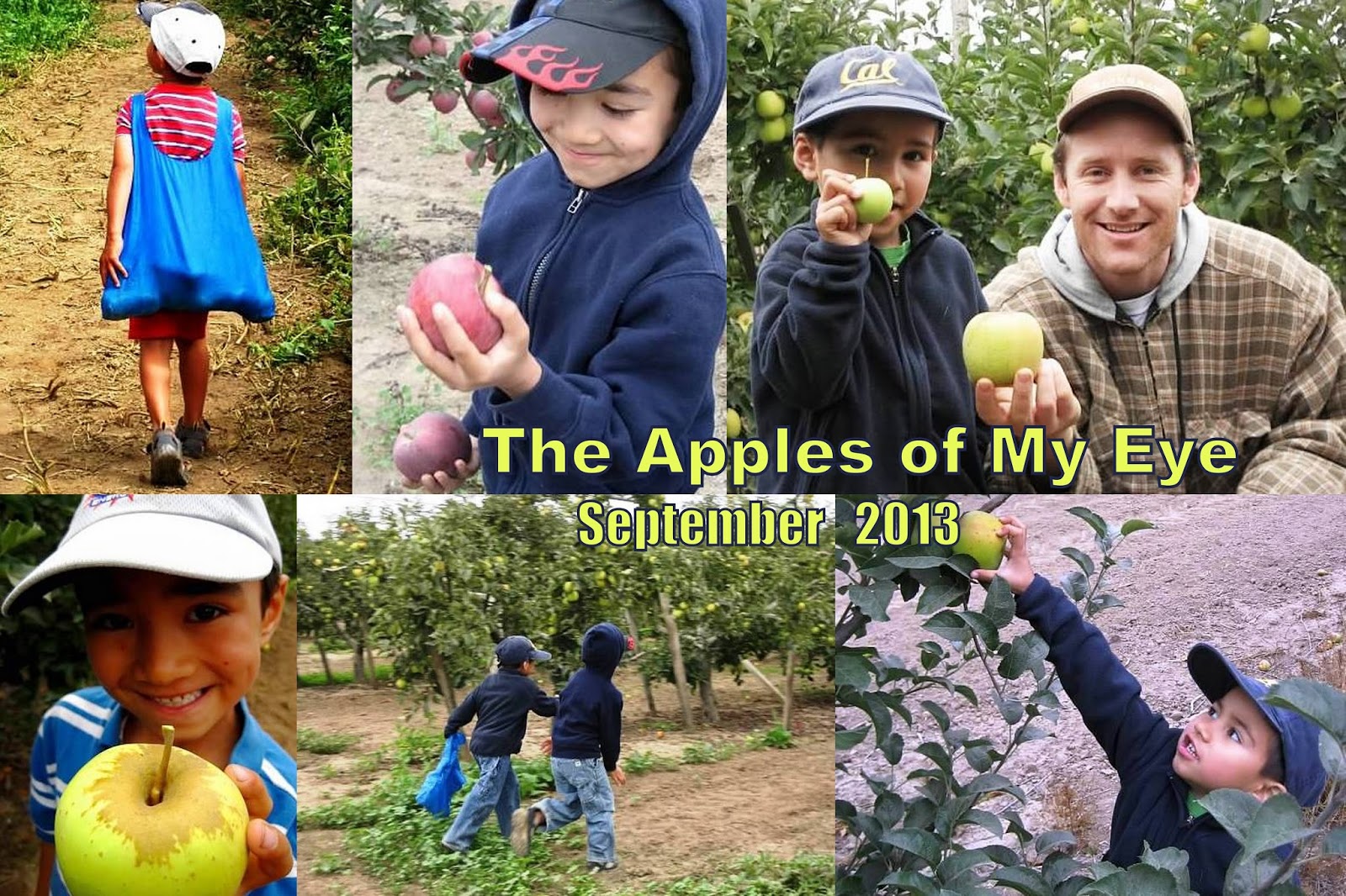 Bushels of Fun: Apple Recipes Round-Up