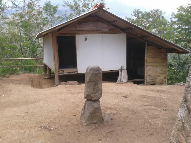 KERAJAAN KERAJAAN DI INDONESIA: SITUS PALASARA