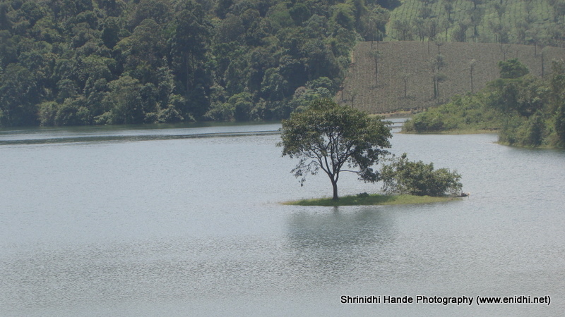 Sholayar Dam, Valparai - eNidhi India Travel Blog