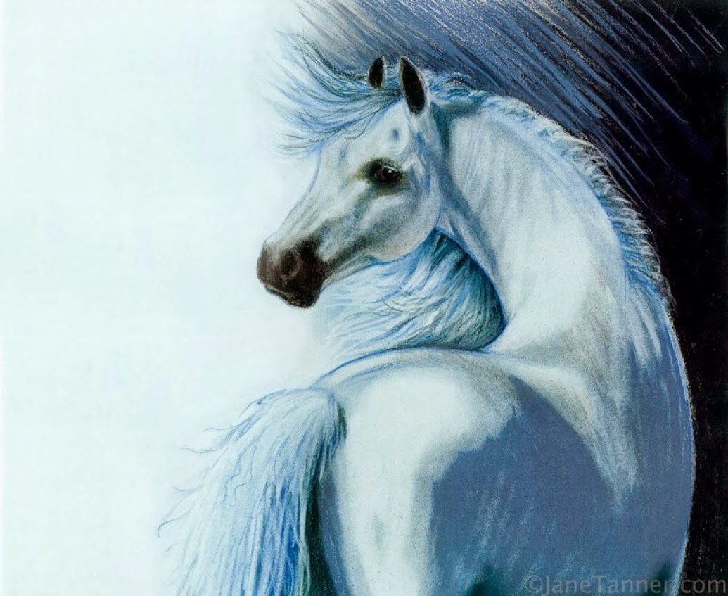 A thing of beauty is a joy forever: Jane Tanner