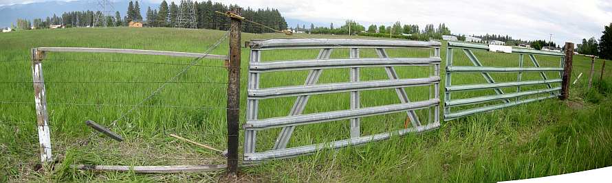 Life among the Tall Pines: South pasture gate