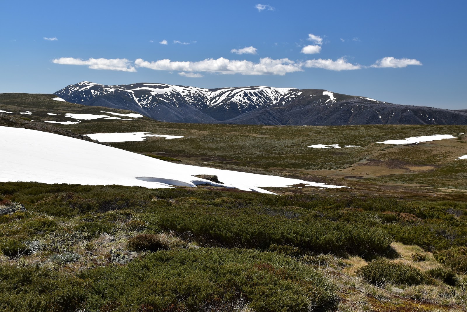 Goin' Feral One Day At A Time: Cope Hut to Big River, AAWT, Alpine ...