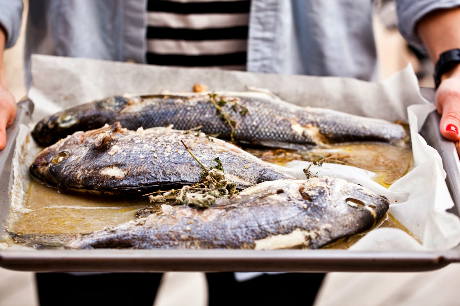 ingredientista.english: Sea bass and sea bream sous-vide (and what to ...
