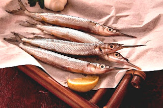 ROA Torang Pe Rasa: Mengenal Ikan Roa