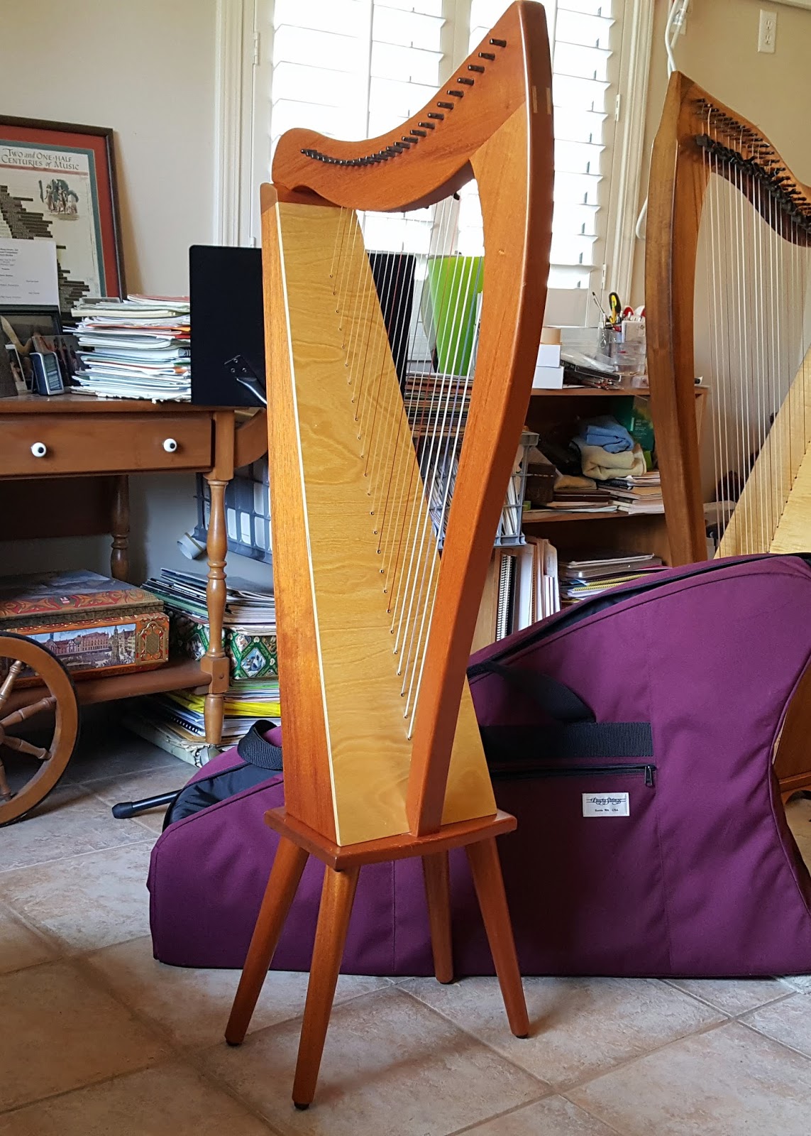 HARP IN LA HARP INFO #2: DUSTY STRINGS ALLEGRO (26) #5081