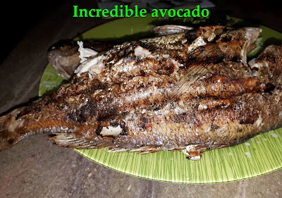 Фагри с подправки на скара