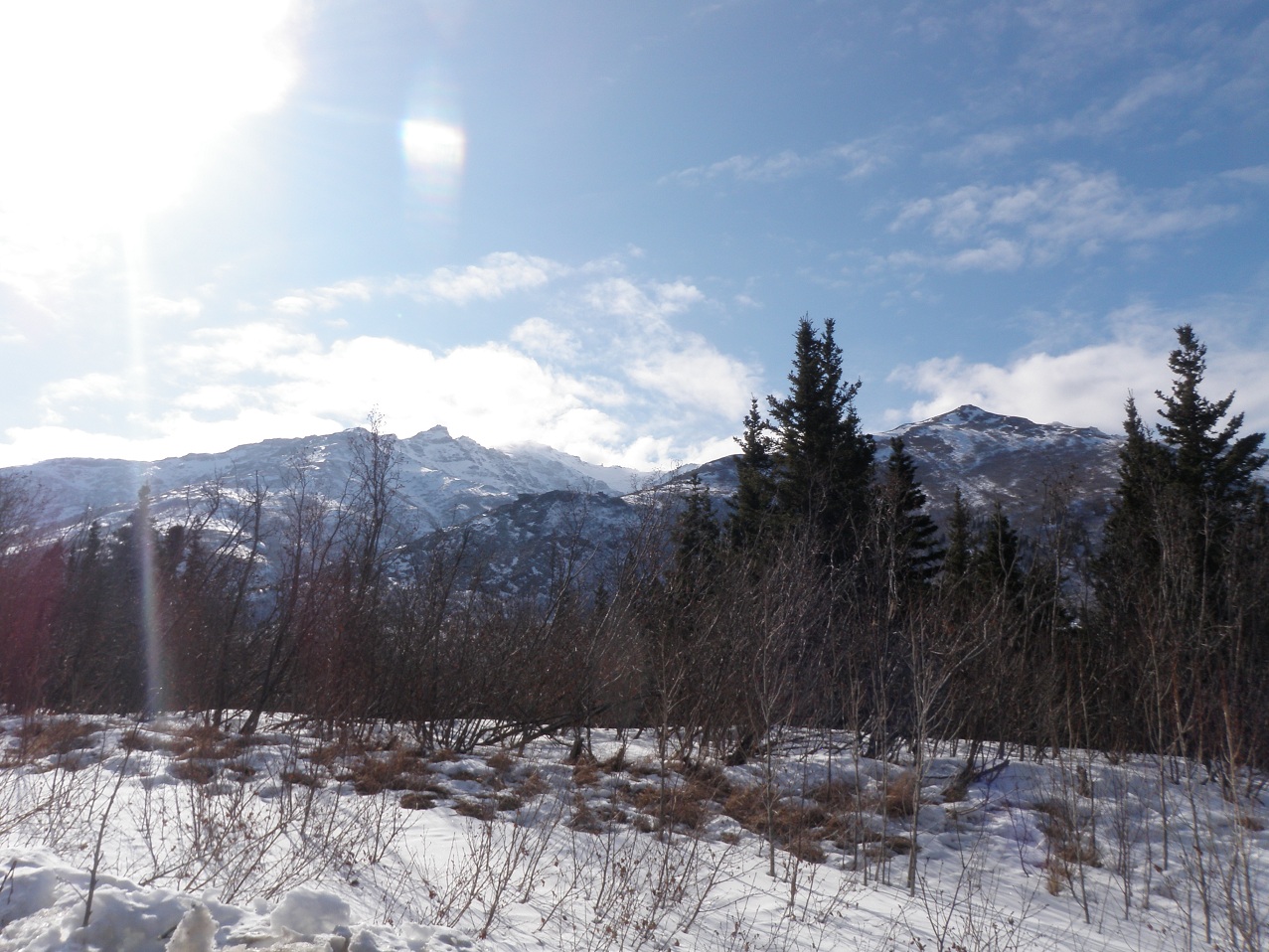 From the Silicon to the Tanana Valley: Photos with da visitor, round II