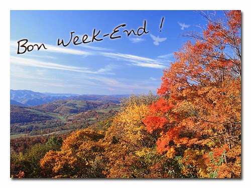 LE COQ PICORE: VACANCES DE LA TOUSSAINT