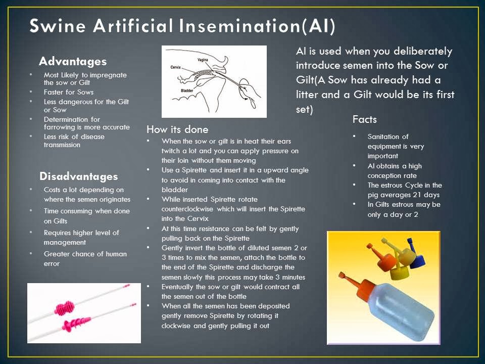 Pinky Jane's Pregnancy: January 2015
