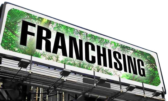 Jackie's Point of View: Advantages And Disadvantages Of Franchising ...