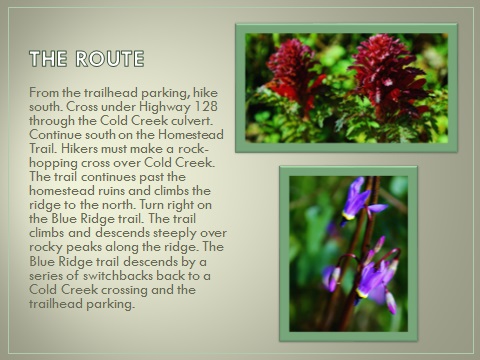 Hiking the Golden State: Napa County - HOMESTEAD BLUE RIDGE LOOP HIKE