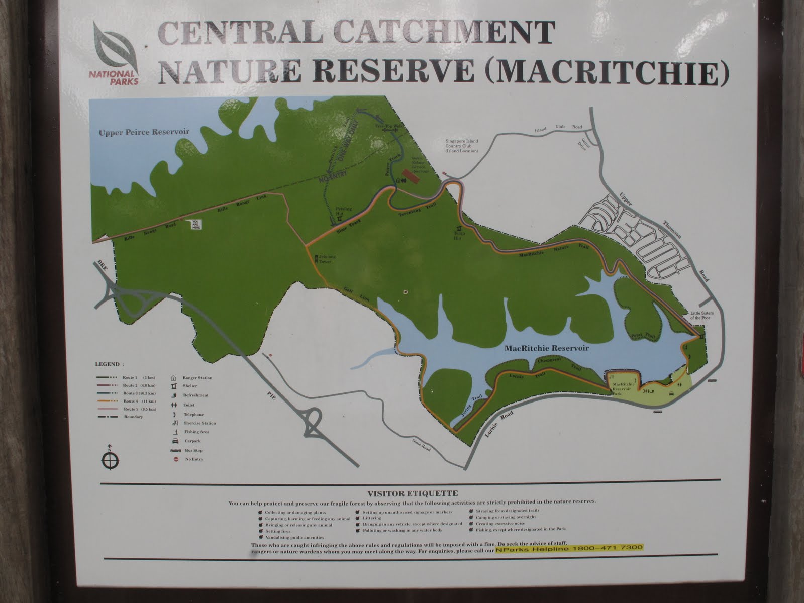 the WoMB: MacRitchie Reservoir (Thomson Reservoir)