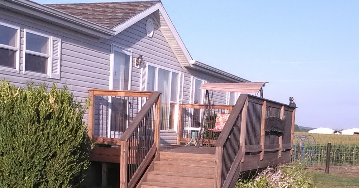 The Three Little Pugs: GOAT ENVY