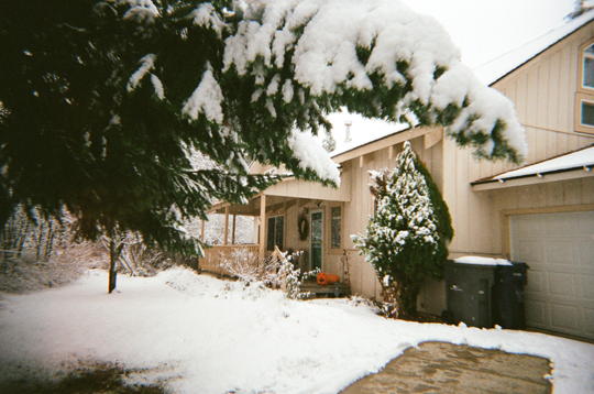 Lomography Monday: Juice Box Camera pt.2 - Lublyou