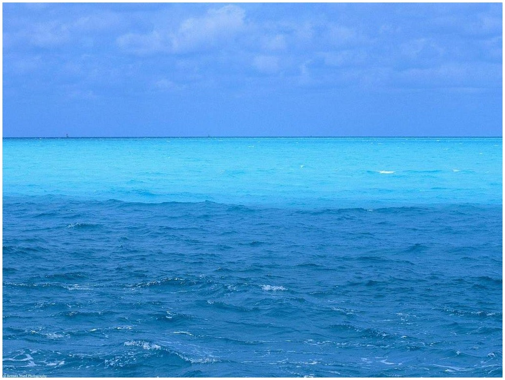 Wilayah Lautan Terdiri Atas 4 Bagian ~ Ruana Sagita