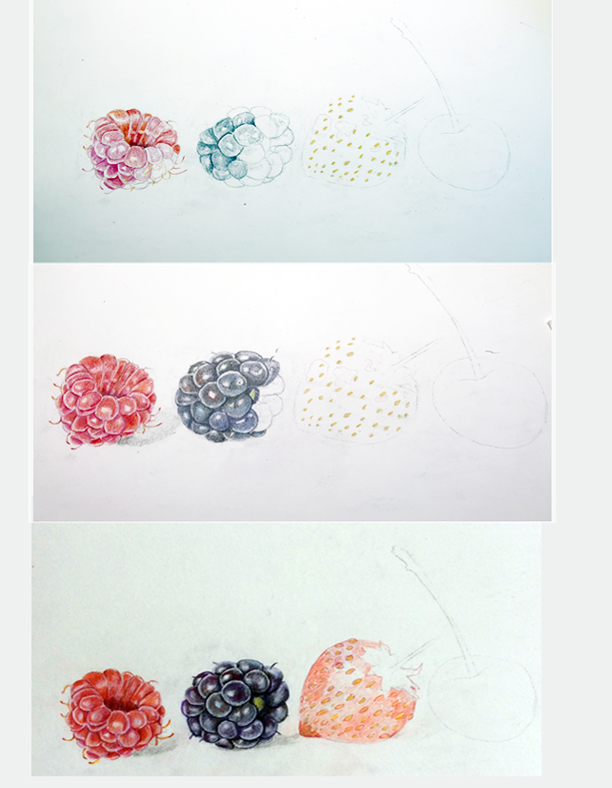 Barbara Goodsitt Studio: Fruit Line Up