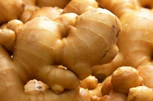 Halia, Susu, Kismis, Kemenyan Putih [Ubat-Ubatan Islam] | LadyBird's Life