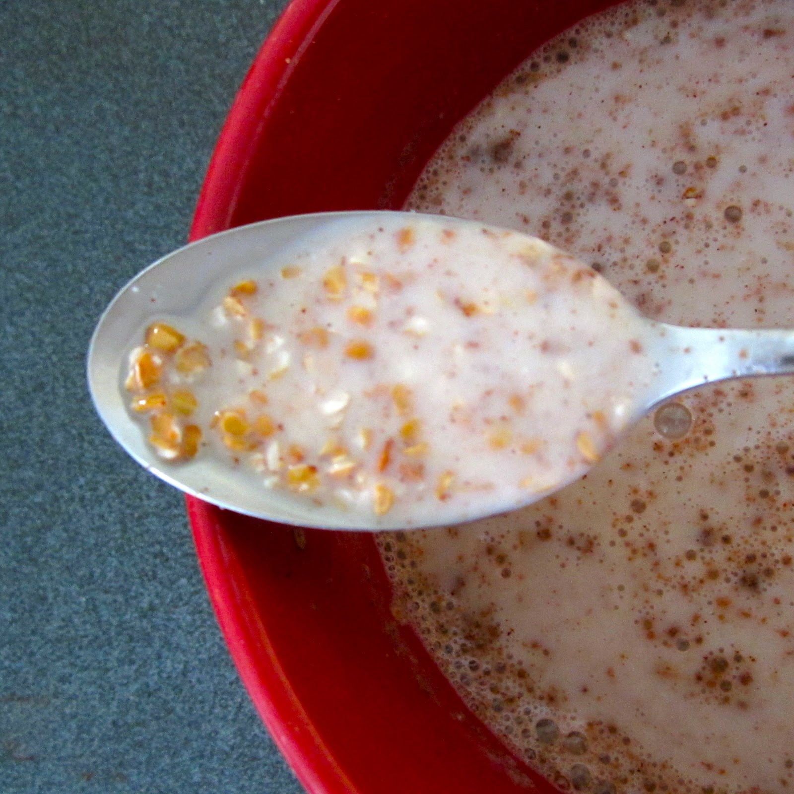 Roasted overnight kasha groats (buckwheat) | Veggie Wonder