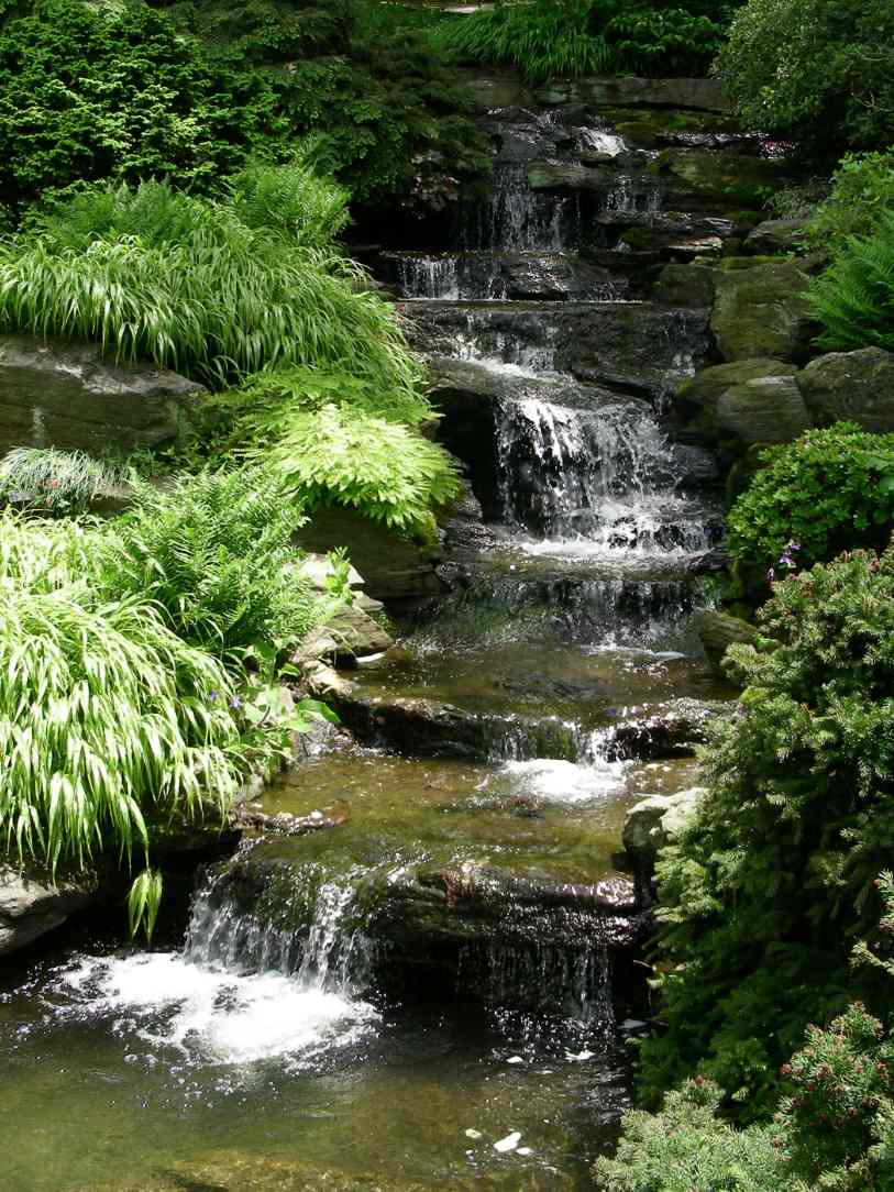 clocktowertenants.com: 7/10/11 - 7/17/11