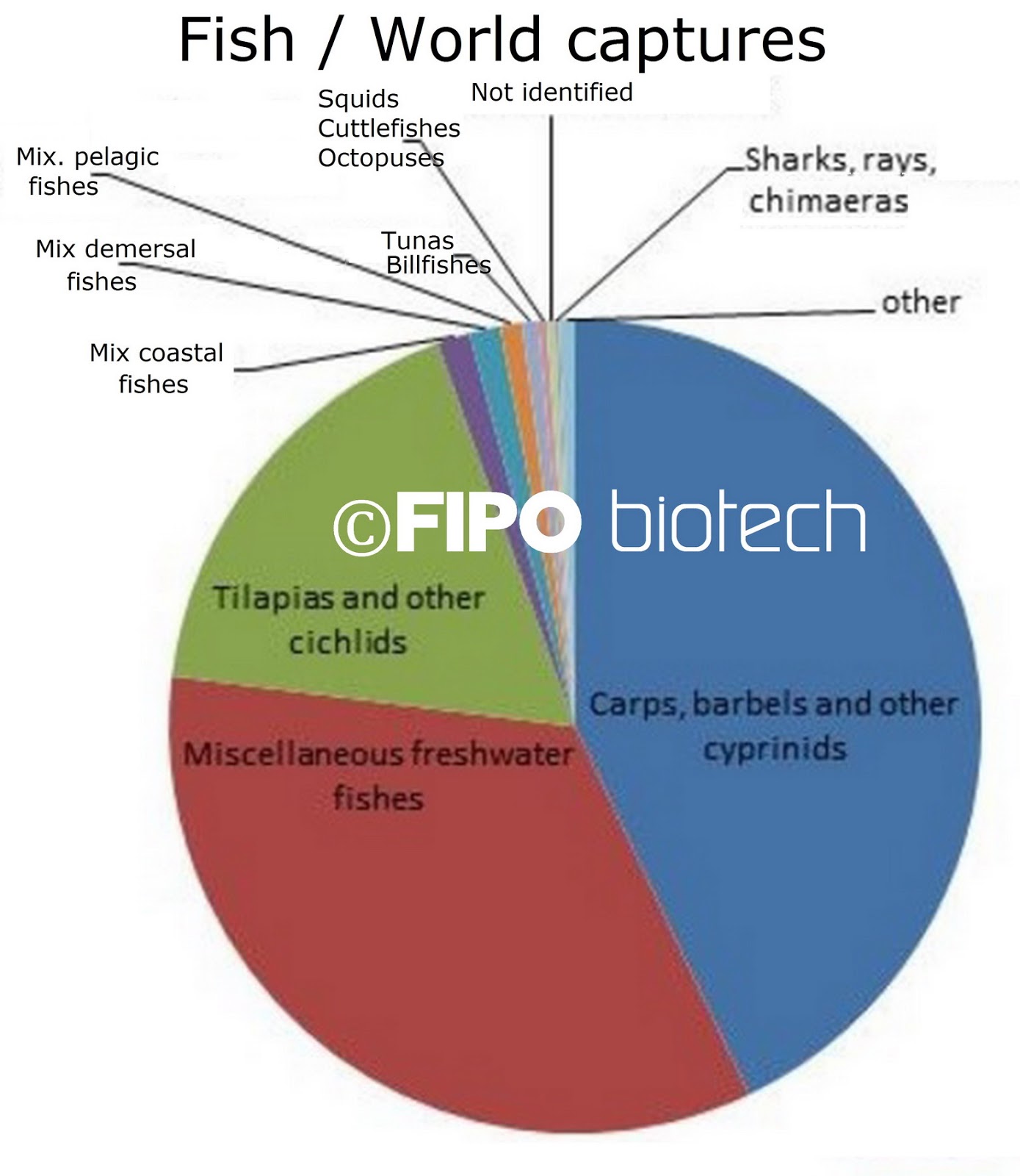 FIPO BIOTECH soluciones innovadoras: 2017