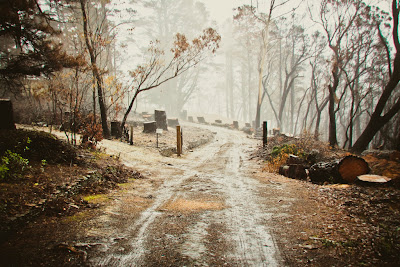 Ford Family Photos: Bush Fire / Blue Mountains, NSW, Australia
