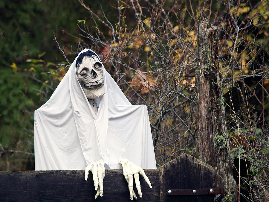 PUMPKINROT.COM: The Blog: Skeleton Ghost