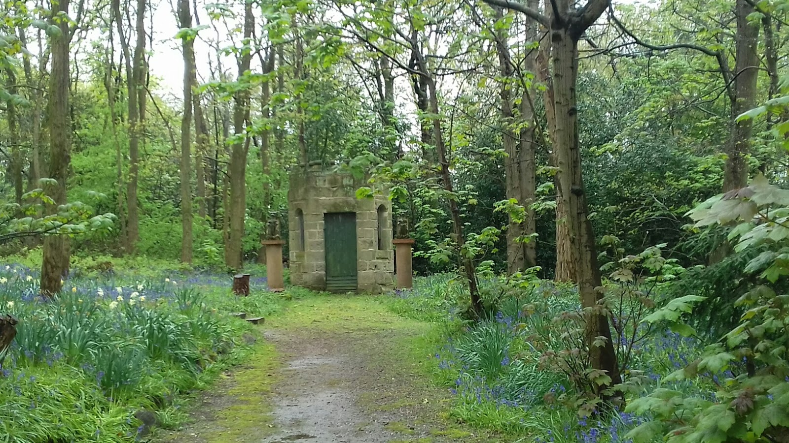 The Betley Court Tulip