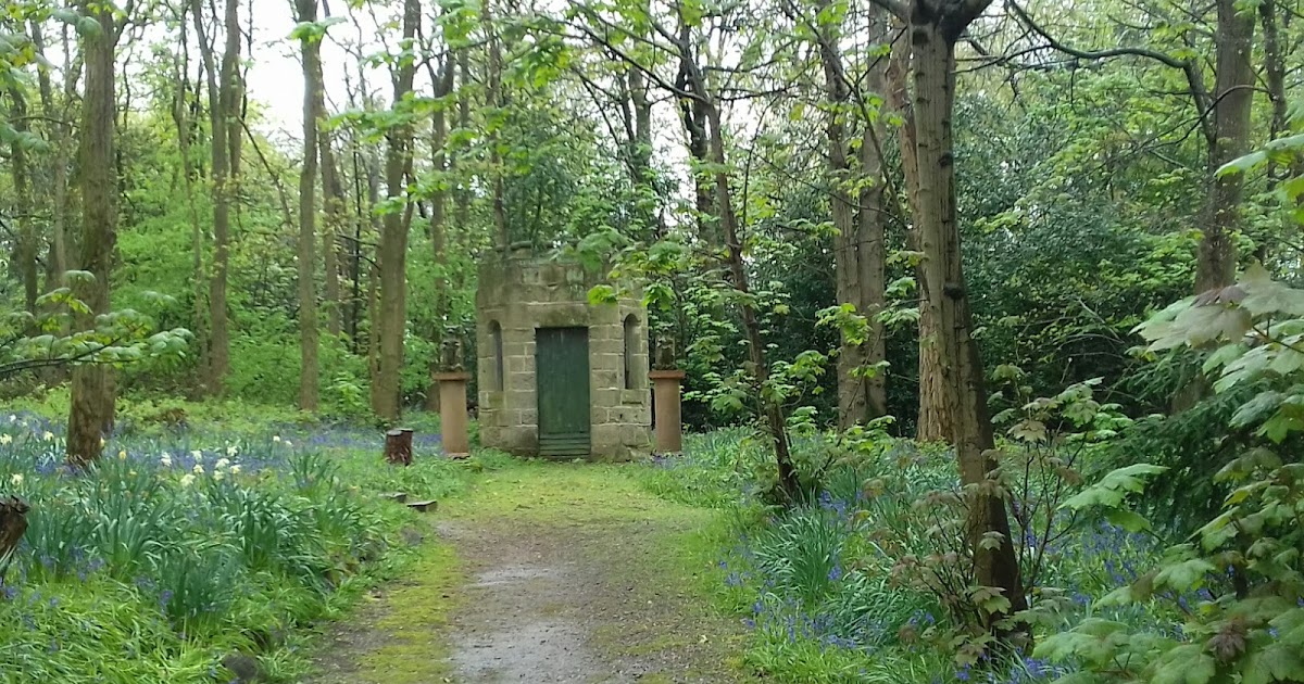 The Betley Court Tulip