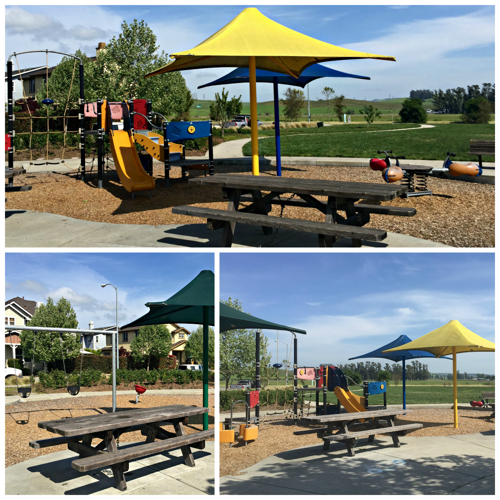 The Everyday Momma: Petaluma Playground Guide