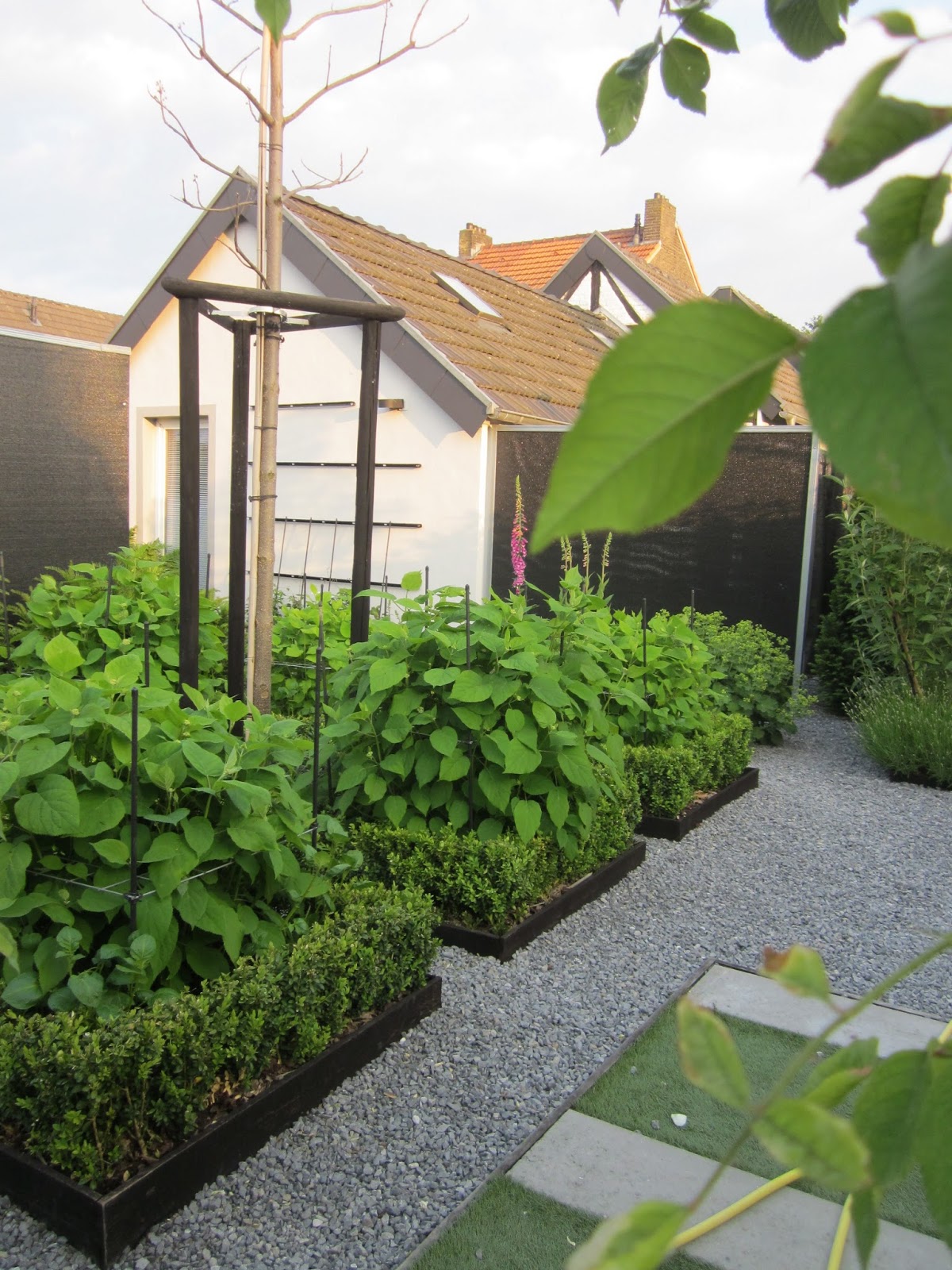 Potagerie in Maastricht: Hortensia and Co