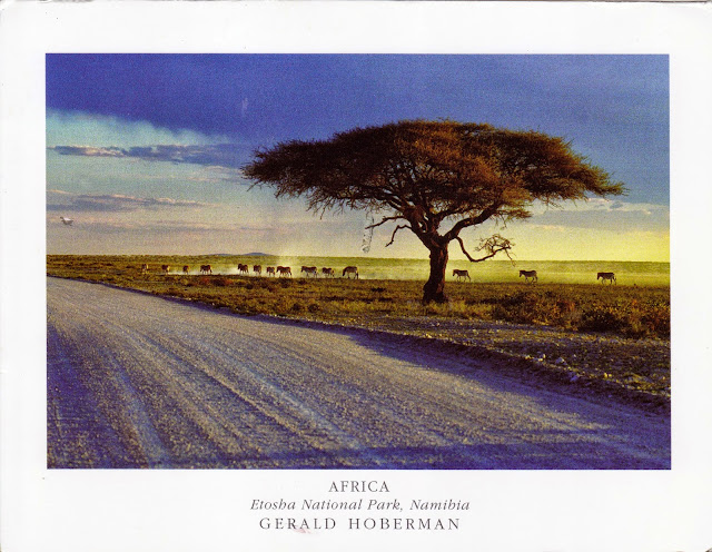 Wax On Daniel-san — Postcards: Namibia