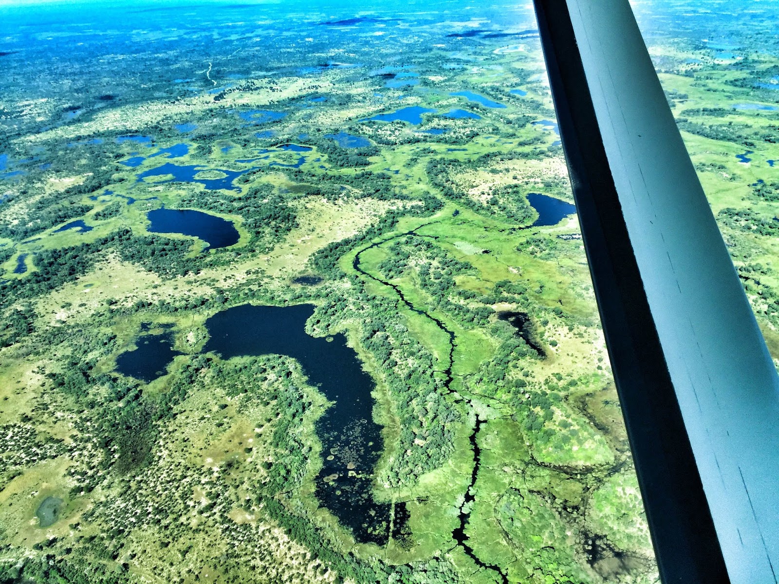 BOTSUANA(III): EL INCREÍBLE DELTA DEL OKAVANGO