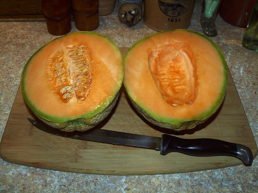 Pellet Smoker Cooking: Grilled Tenderloin Corn and Melon