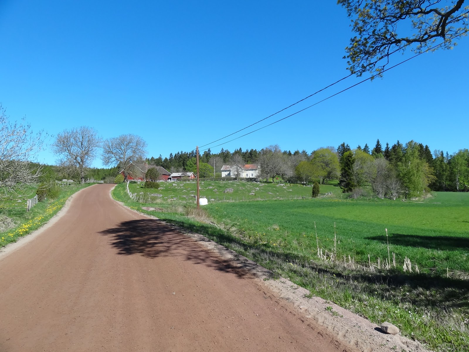 Ladan: Julius Johnson, ryssungen från Sund som blev kommerseråd ...