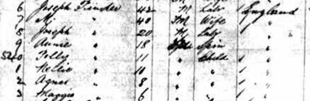 Trials and Tribulations of a Family Historian: A tale of Immigration ...