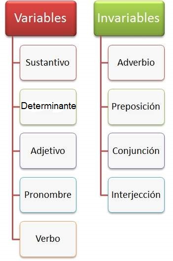 Palabras Invariables Ejemplos