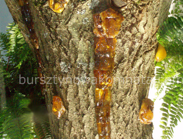 Ámbar del Báltico: ¿Qué es el ámbar?