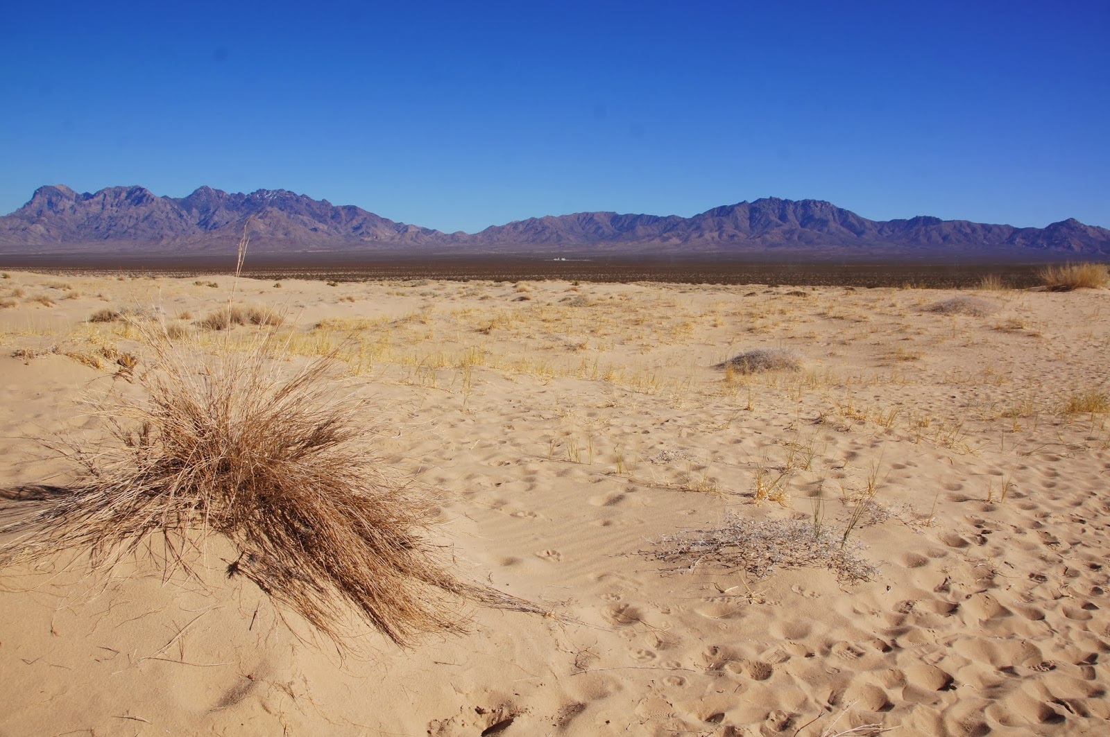 Mamma Quail Hiking California : Sledding in the Desert: the Kelso Dunes ...