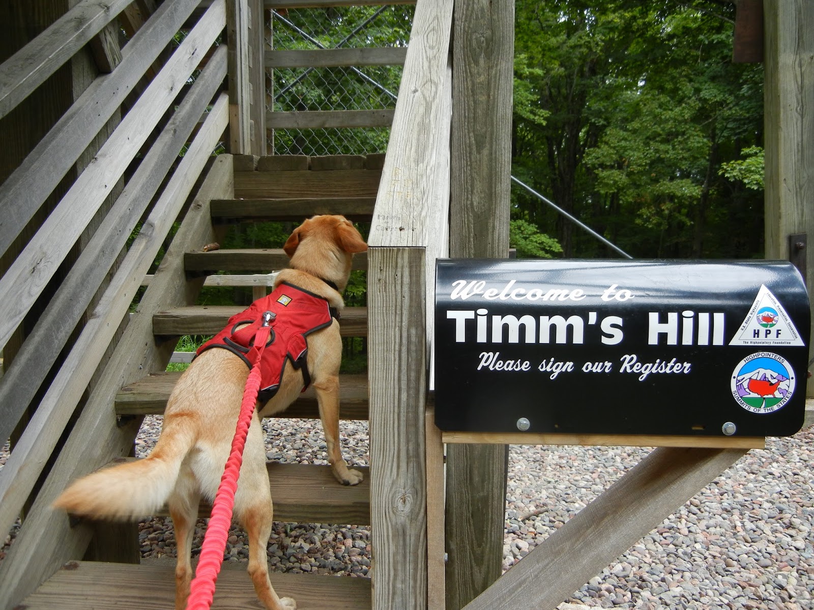 Hiking with Heather: Reaching New Heights: Timm's Hill