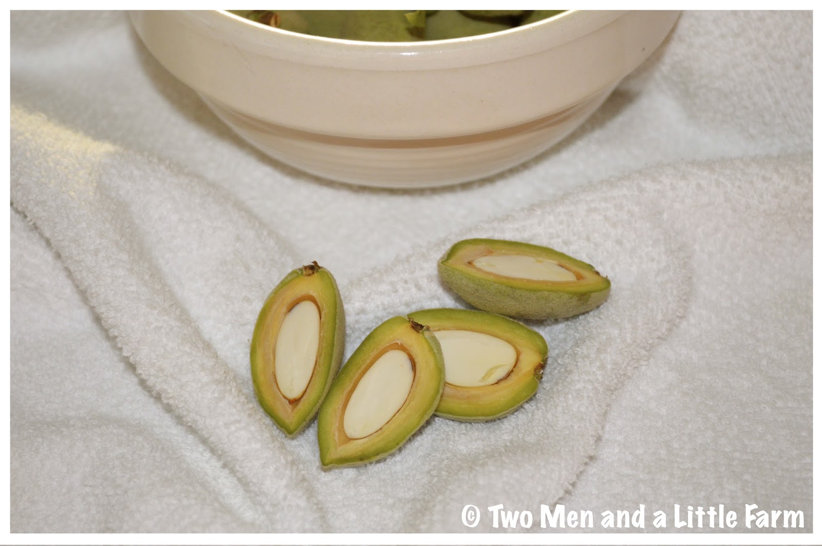 Two Men and a Little Farm: GREEN ALMONDS