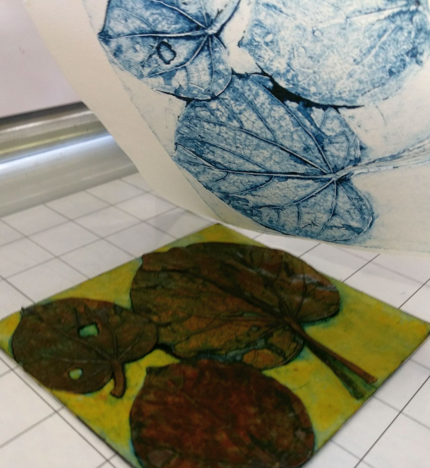 Sandra Pearce: Collagraphs with Plants and Friends