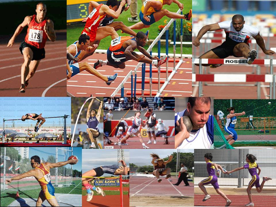 Atletismo Todas As Modalidades - LIBRAIN