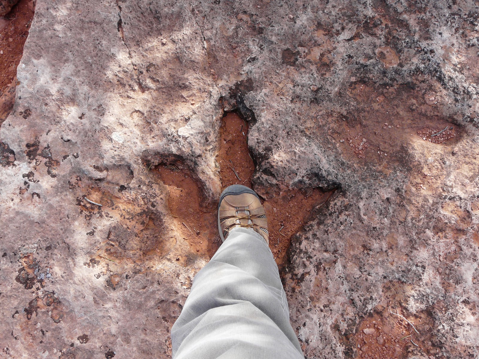 Hiking the Great American Southwest: Moki Steps, Petroglyphs ...