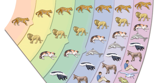 Sistematika dan Taksonomi - Biologizone