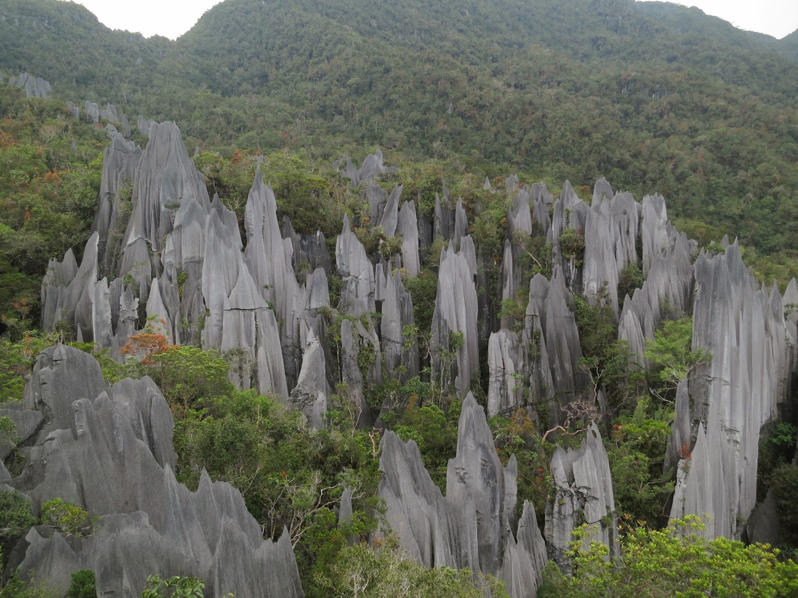Mulu Pinnacles Climb